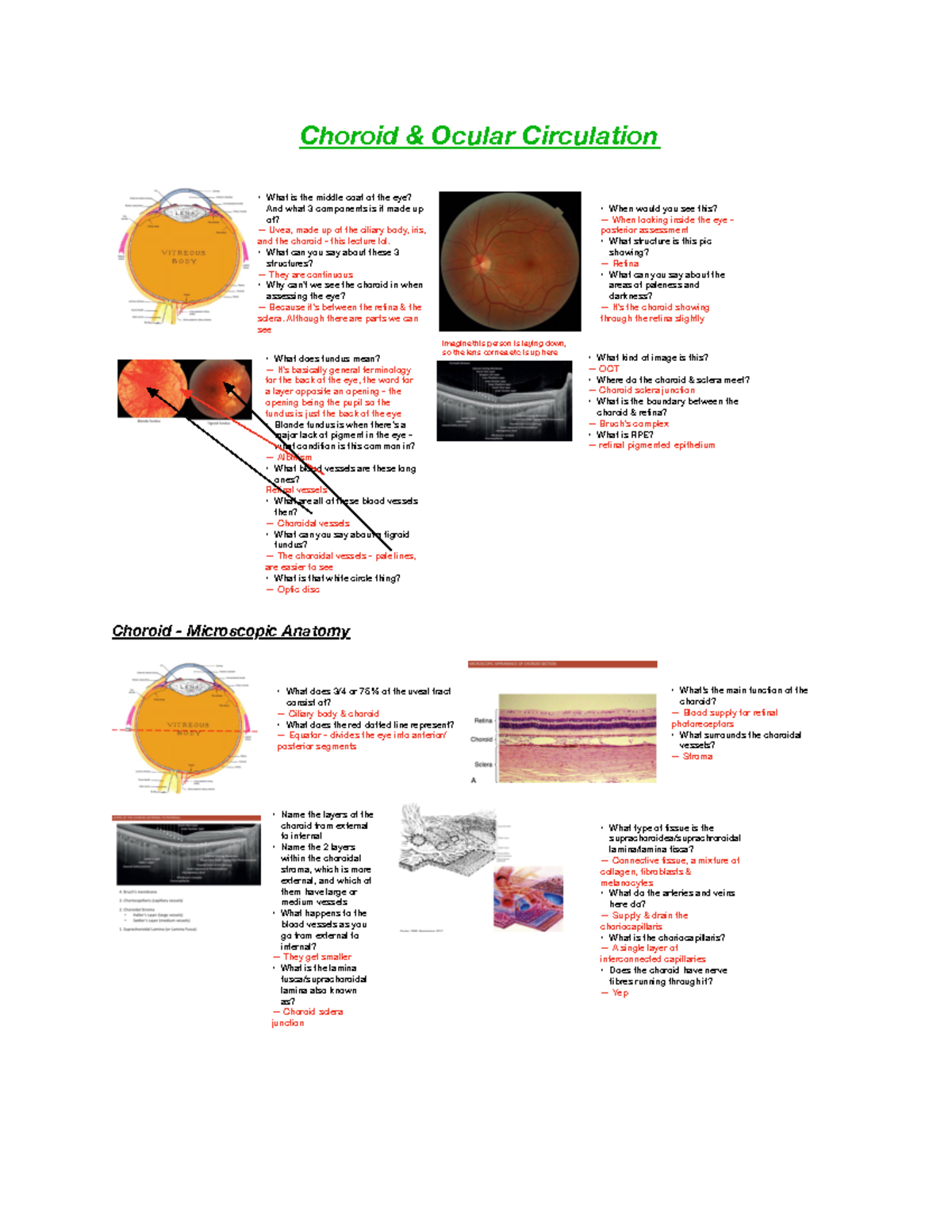 Lecture 9. Choroid & Ocular Circulation - Choroid - Microscopic Anatomy ...