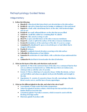 Week 1 guided notes SL - Introduction to Pathophysiology Guided Notes ...