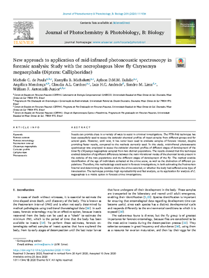 Paint Chip Analysis - OBJECTIVE To morphologically and spectroscopic ...