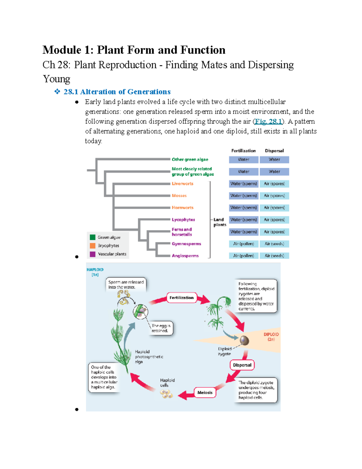 Module 1 Plant Form and Function - CH 28 - Module 1: Plant Form and ...
