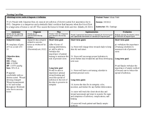 Nursing Care Plan - RN 101 - FUNDAMENTALS OF NURSING CLINICAL AND LAB ...