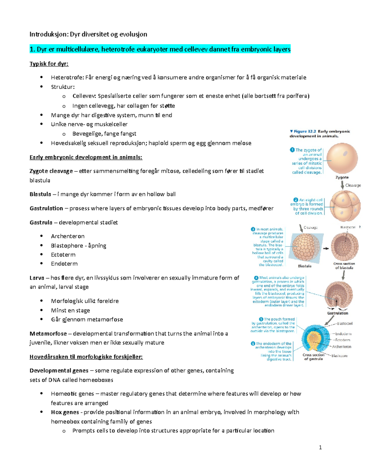 BIO101 zoologi - Kap 32 Intro til animal diversity - Introduksjon: Dyr diversitet og evolusjon 1 ...