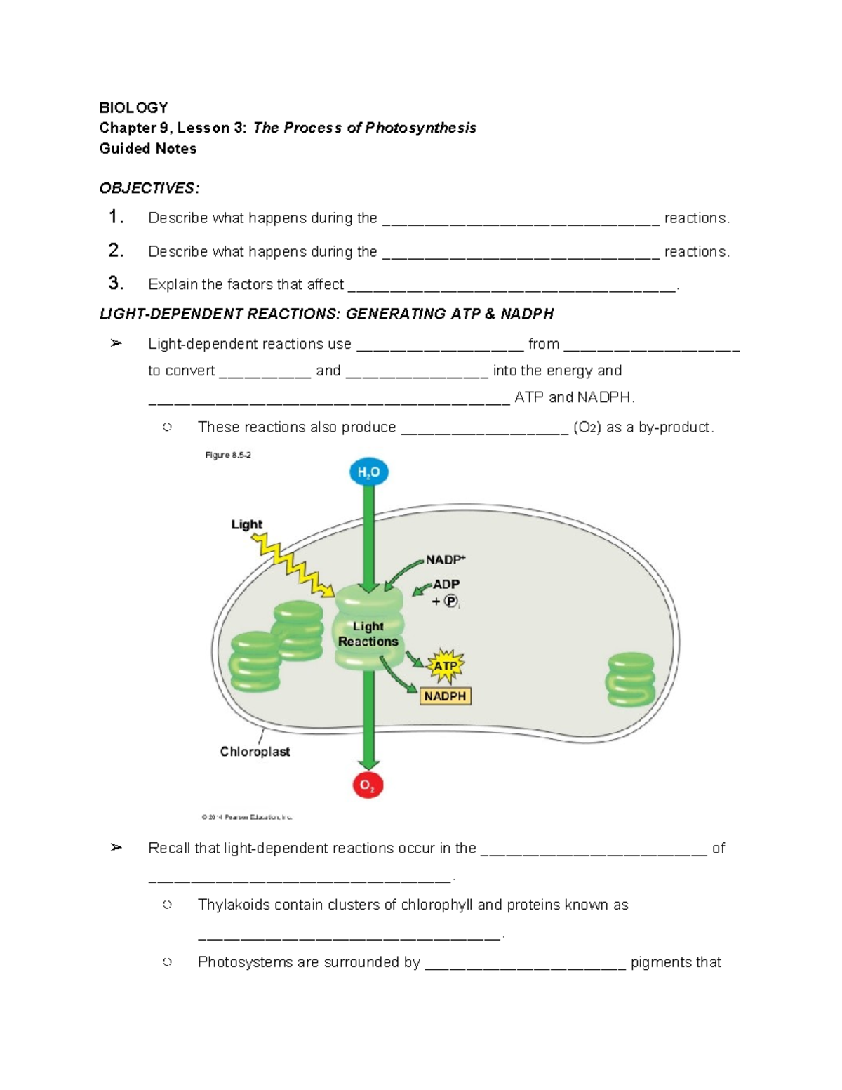 Biology 9.3 guided notes - BIOLOGY Chapter 9, Lesson 3: The Process of ...