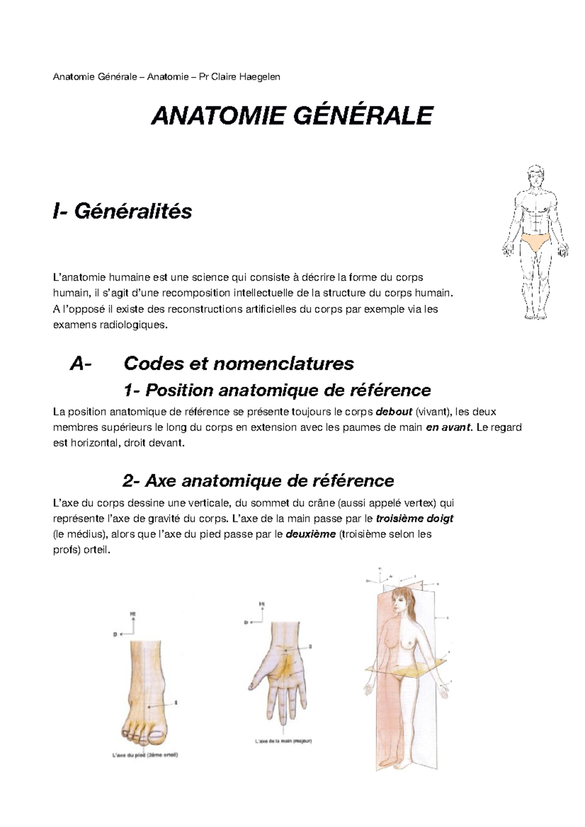 Anatomie Gnrale LAS - Anatomie Générale – Anatomie – Pr Claire Haegelen ...
