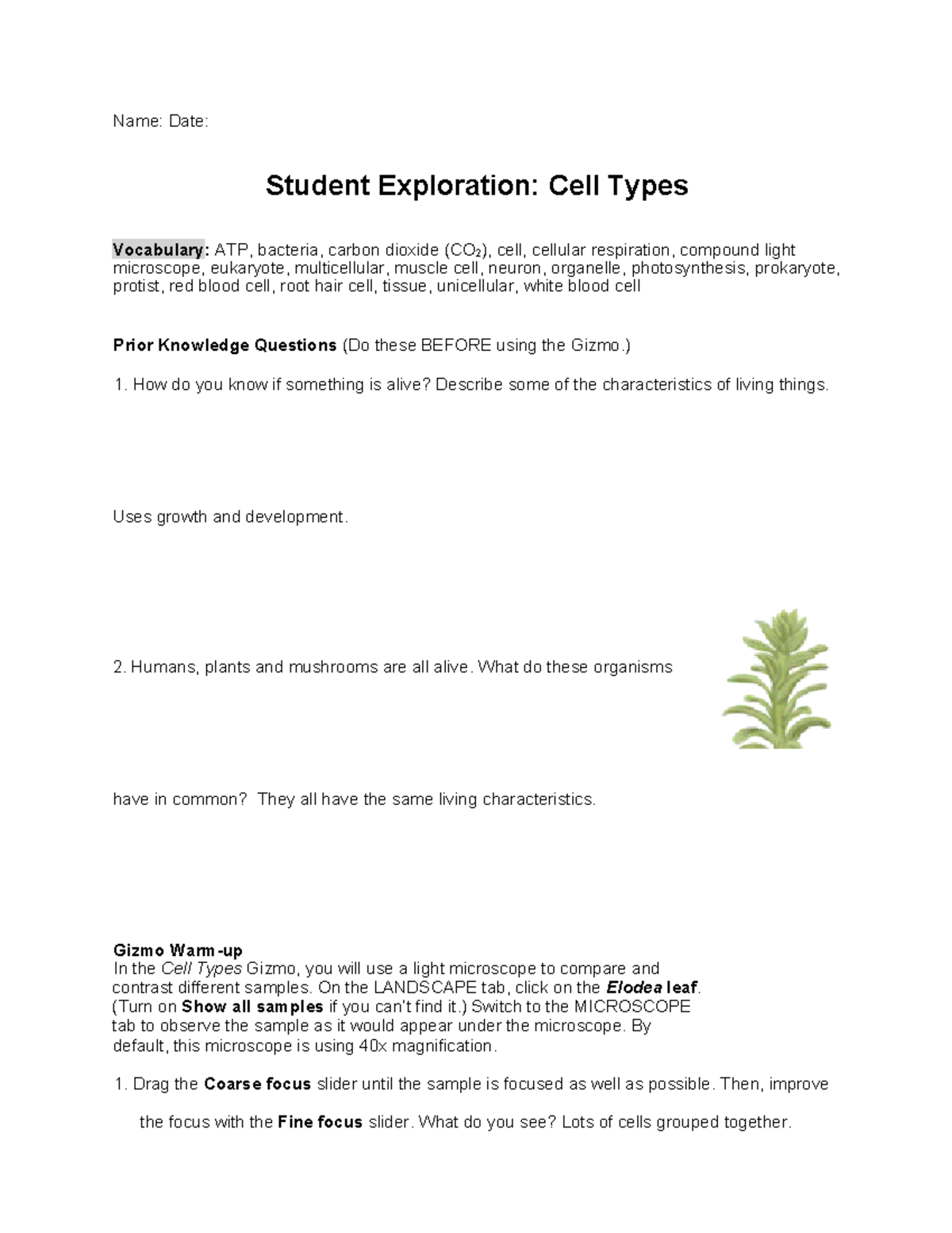 CSLab 4.4 Cell types Gizmo - Name: Date: Student Exploration: Cell ...