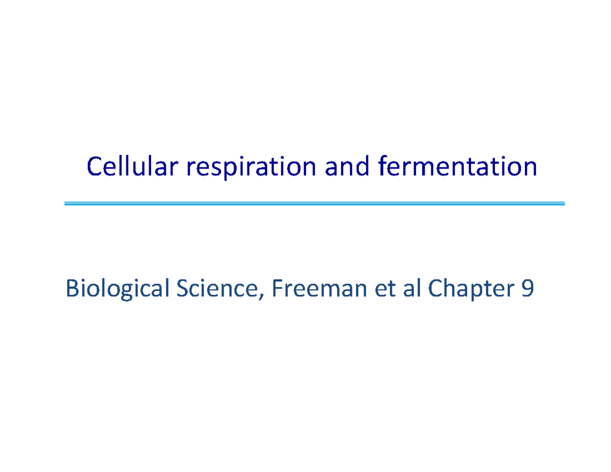 Cellular Respiration part III - Cellular respiration and fermentation ...