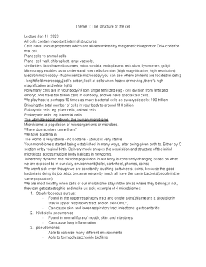 Meiosis, the basic of sexual reproduction - Mitosis starts with an ...