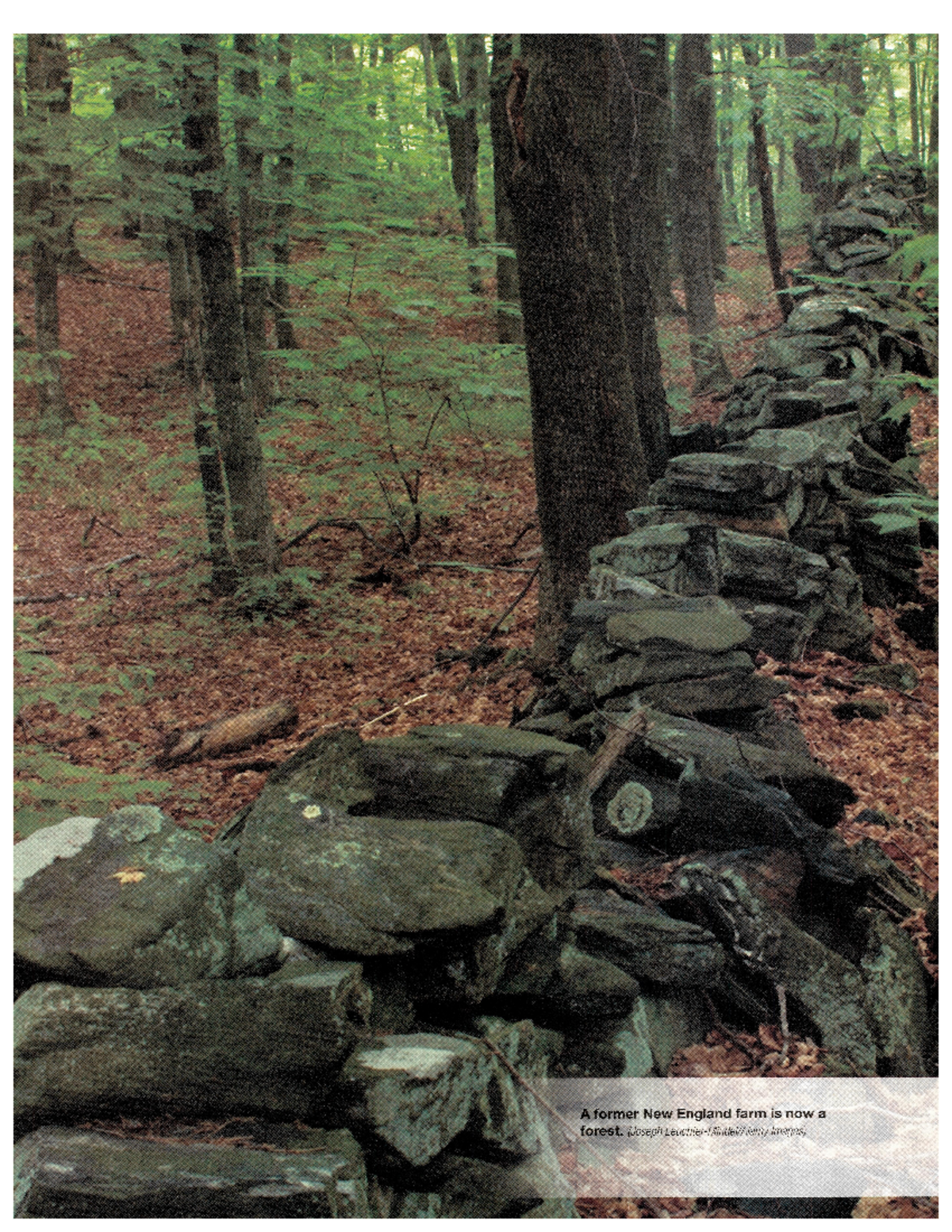 APES Textbook Chapter 6 - Studocu