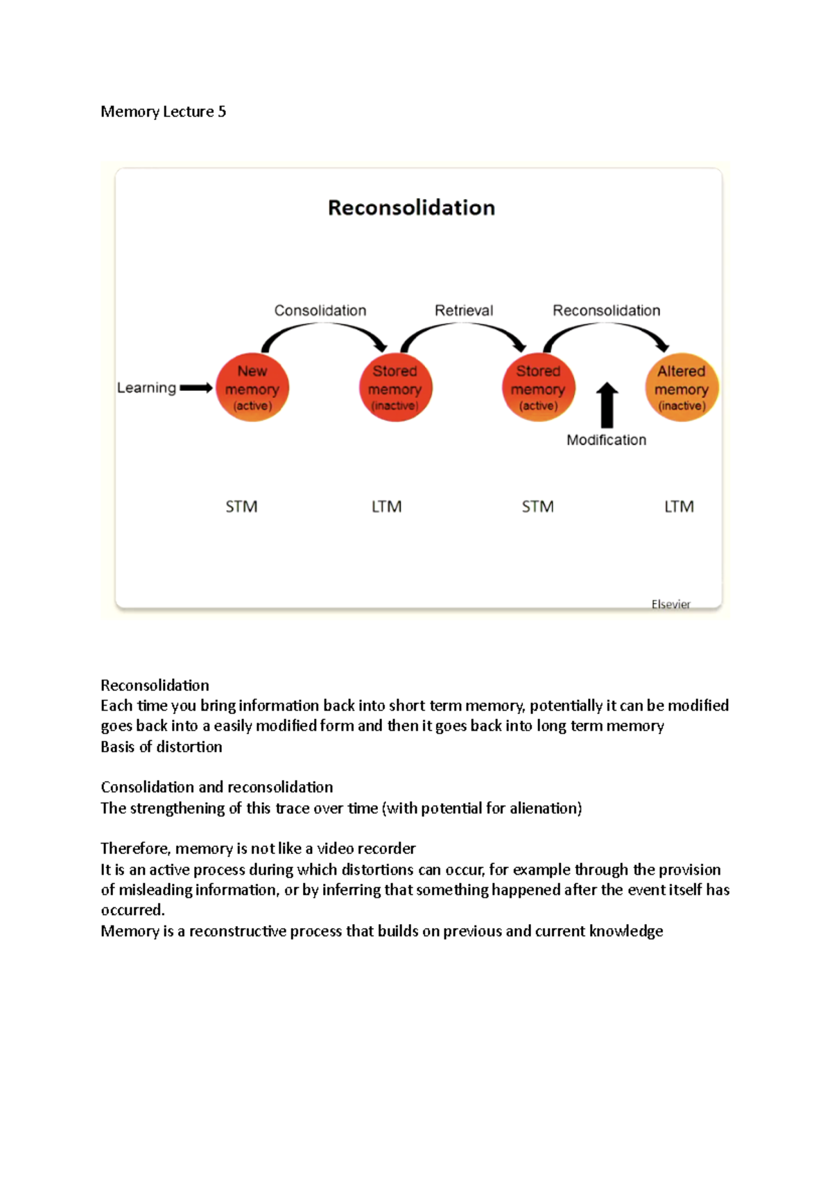 Memory Lecture 5 - Memory is a reconstructive process that builds on previous and current ...