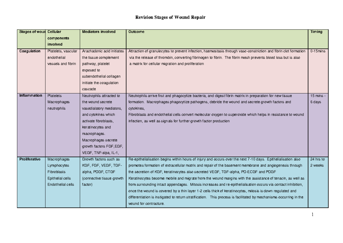 Stages of wound healing table - Revision Stages of Wound Repair 1 ...