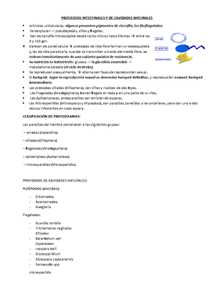 (2) AC2 Kelly Quenta - recuento de addis - PRÁCTICA N° 02 RECUENTO DE ...