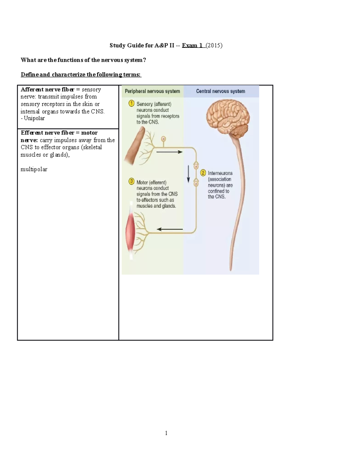 AP 2- Study Guide 1 - Study Guide for A&P II - Exam 1 (2015) What are ...