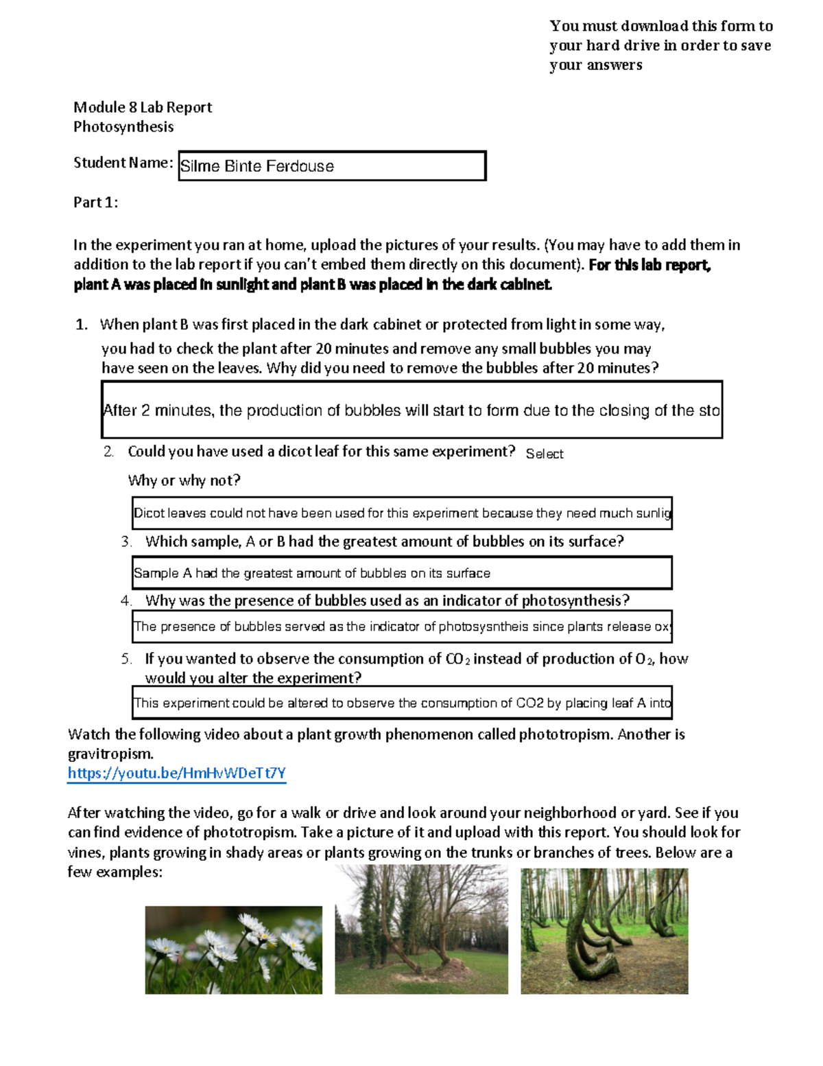Module 7 Lab Report - answers - Module 8 Lab Report Photosynthesis ...
