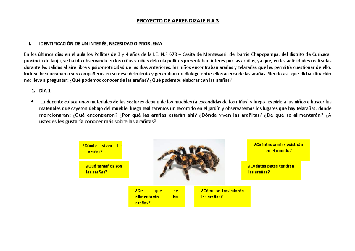 Proyecto LAS Arañas DE Junio - PROYECTO DE APRENDIZAJE N.º 3 I ...