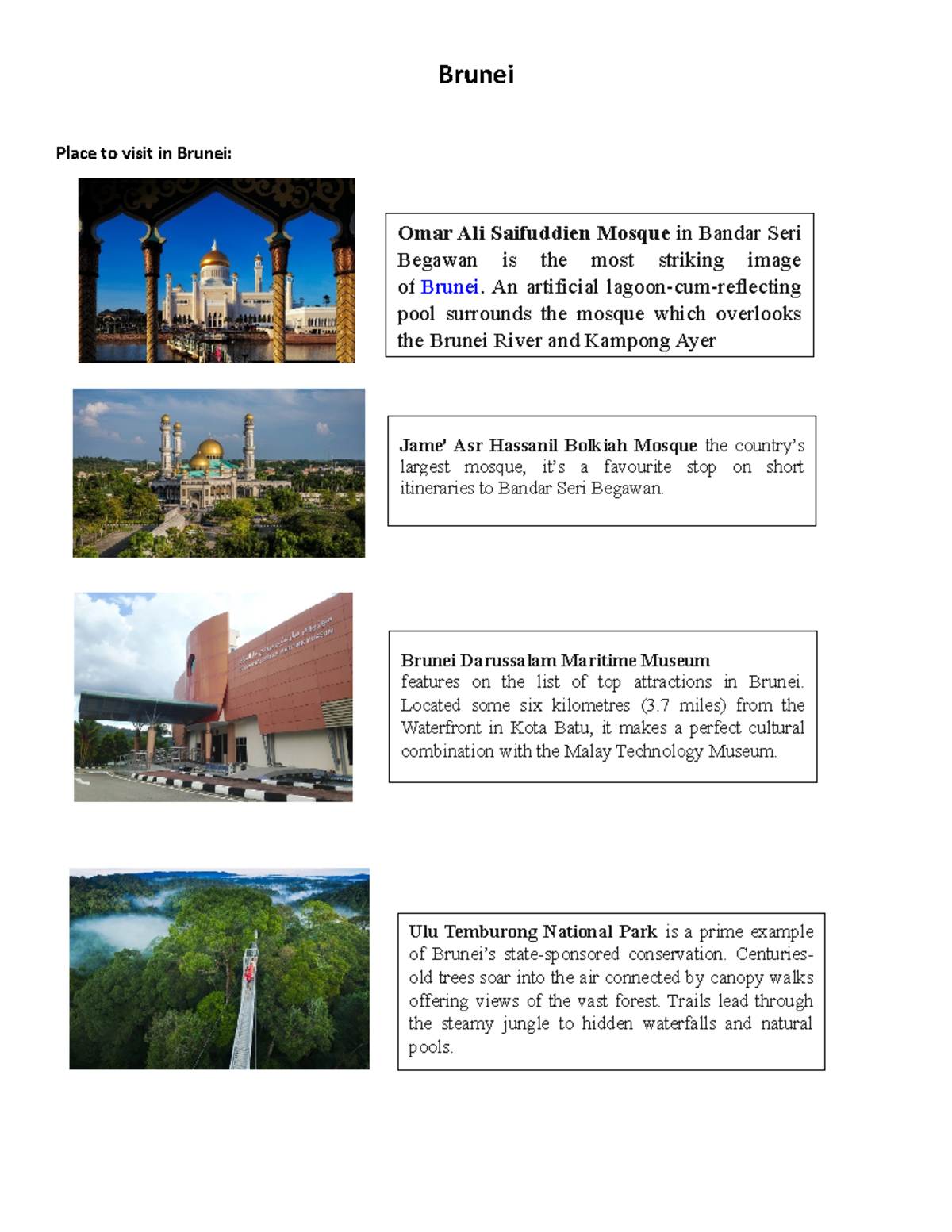 Brunei - Literature - Brunei Place to visit in Brunei: Omar Ali ...