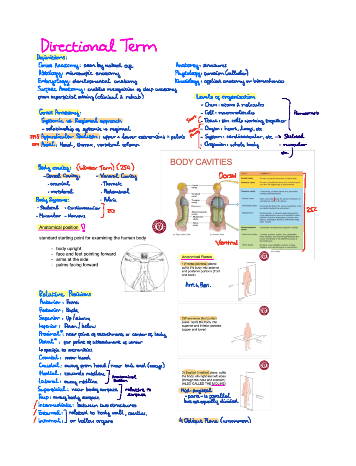 1. Intro & Directional Terms - Directional Term Histology ...