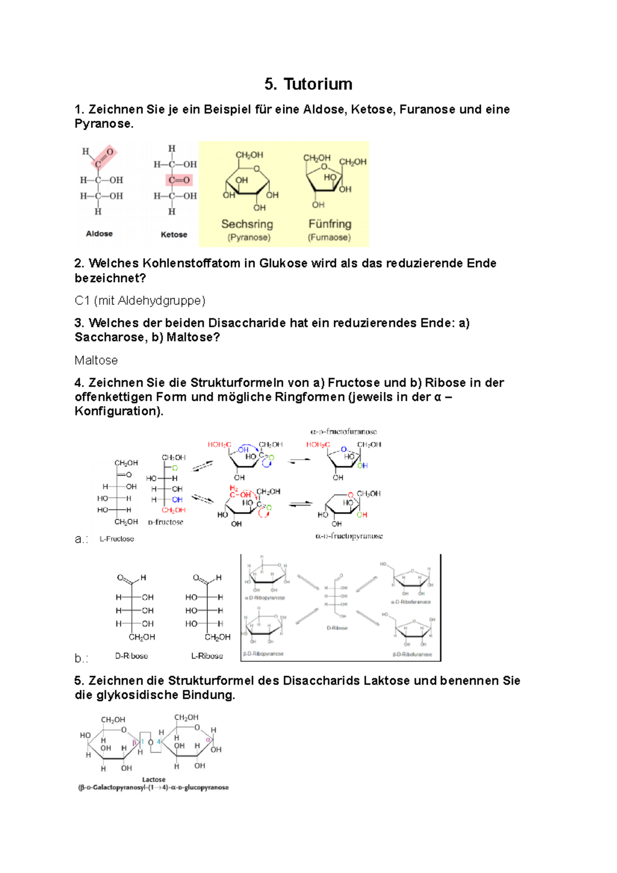 Tutorium 5 Biochemie WS2122 - 5. Tutorium Zeichnen Sie je ein Beispiel für eine Aldose, Ketose ...