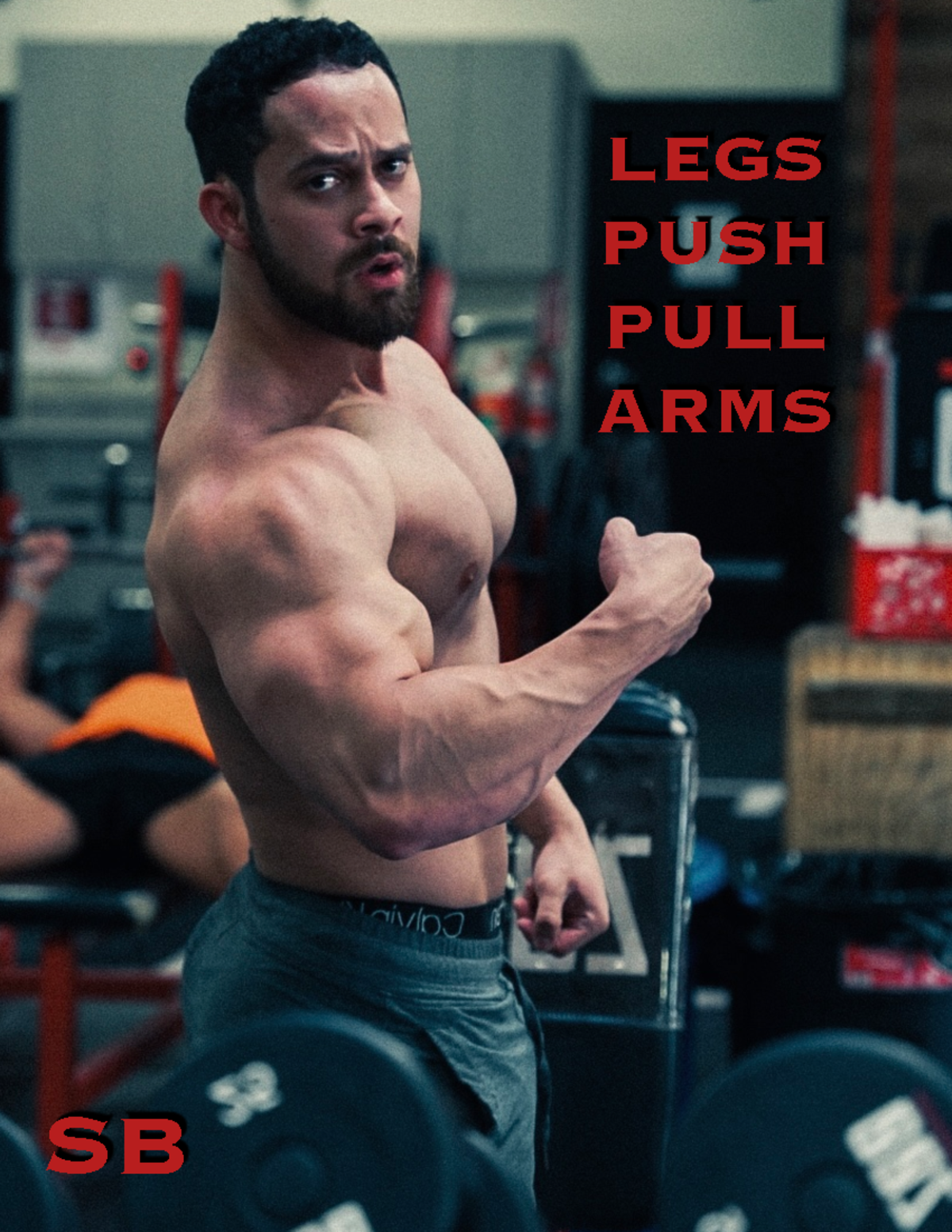 LPPA+E-Book - LEGS PUSH PULL ARMS SB LEGS PUSH PULL ARMS For this ...