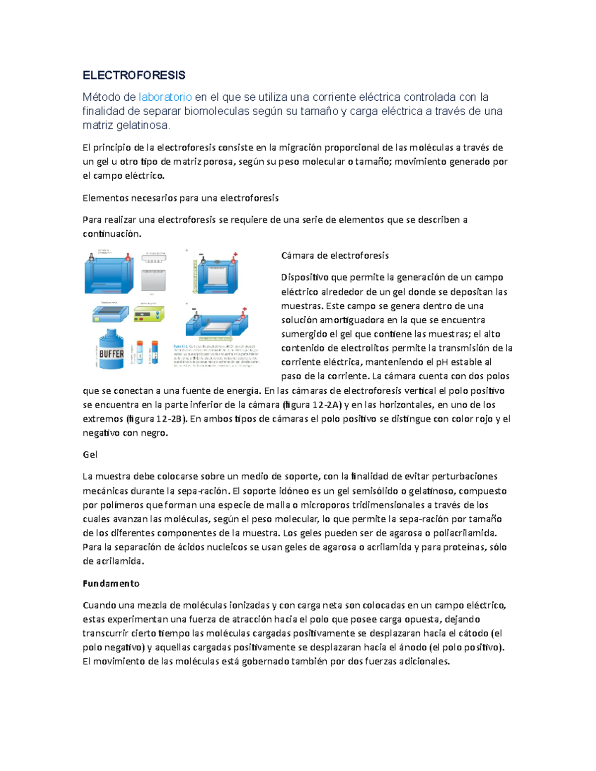 Electroforesis - ELECTROFORESIS Método de laboratorio en el que se ...
