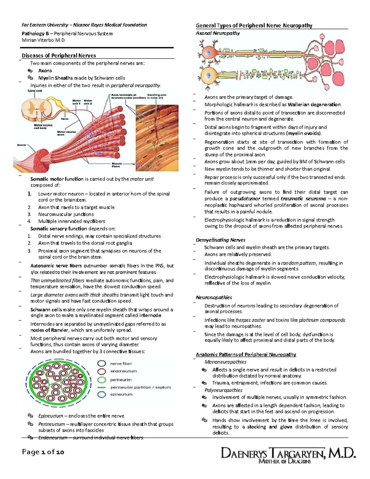 Pathology B - Peripheral Nervous System (Viterbo, 2016 ) - Far Eastern ...