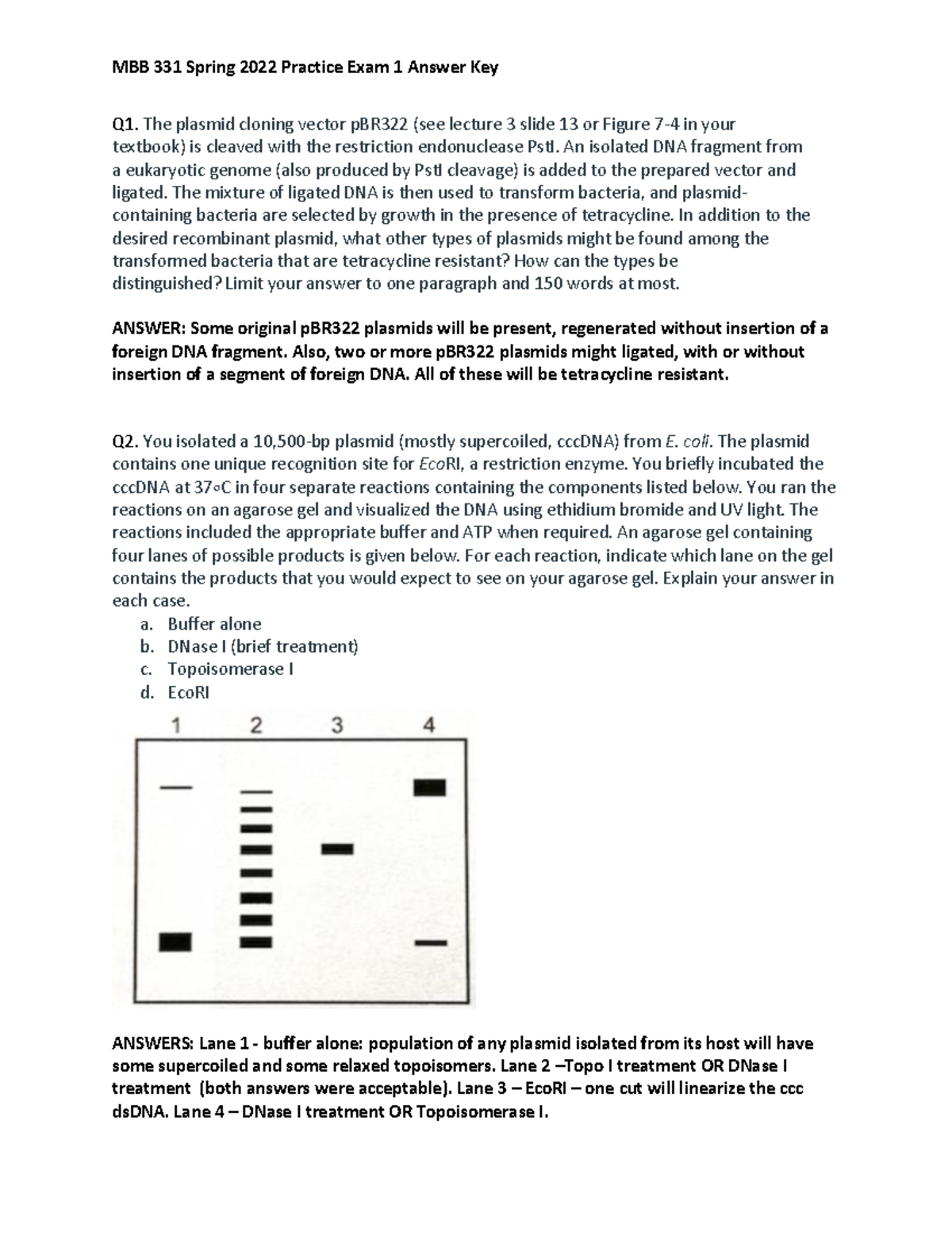 Practice Exam 1 Answer Key - Q1. The plasmid cloning vector pBR322 (see ...