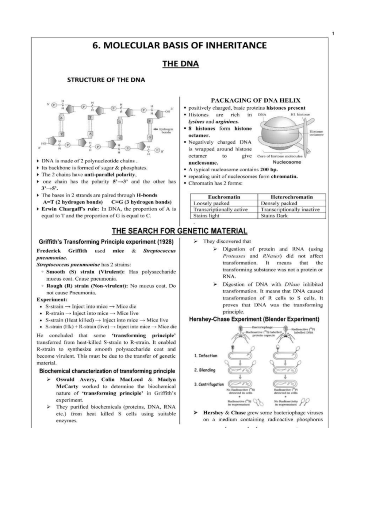 Molecular basis of inheritance - science - Studocu