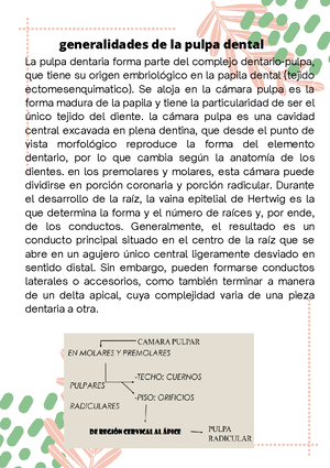 Vasoconstrictores Manual de Anestesia Local - Anestesiologia Malamed ...