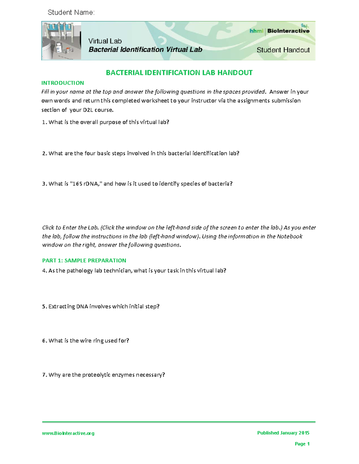Bacterial-Identification-Lab-Worksheet-Student 2 (1) - BioInteractive ...