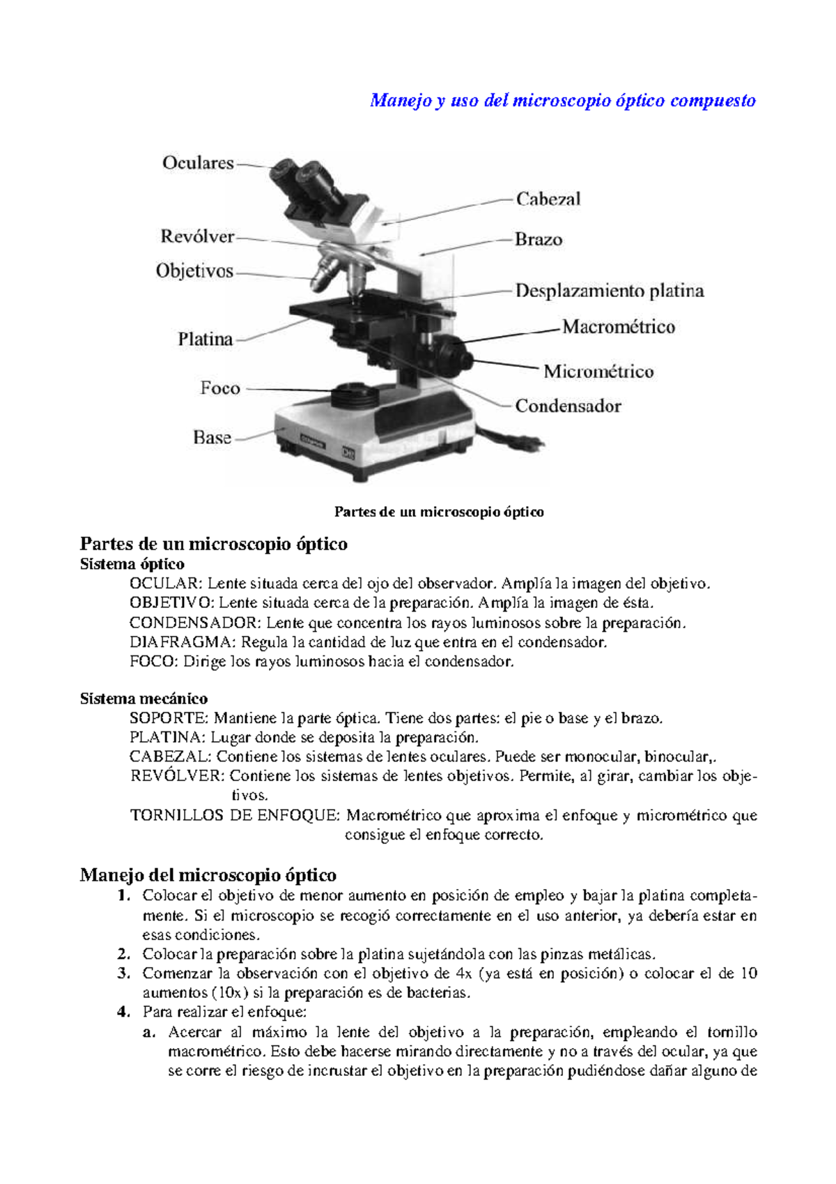 Uso microscopio optico - Manejo y uso del microscopio óptico compuesto ...