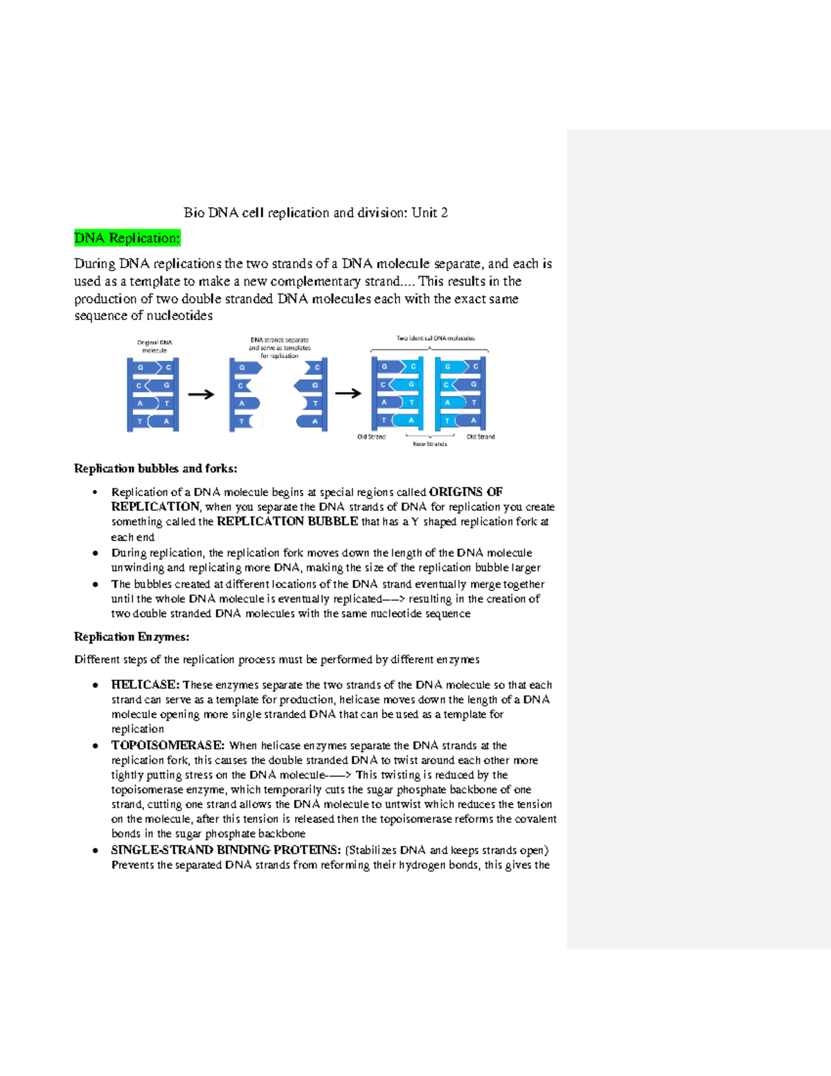 Biology unit 2 study guide - Bio DNA cell replication and division ...