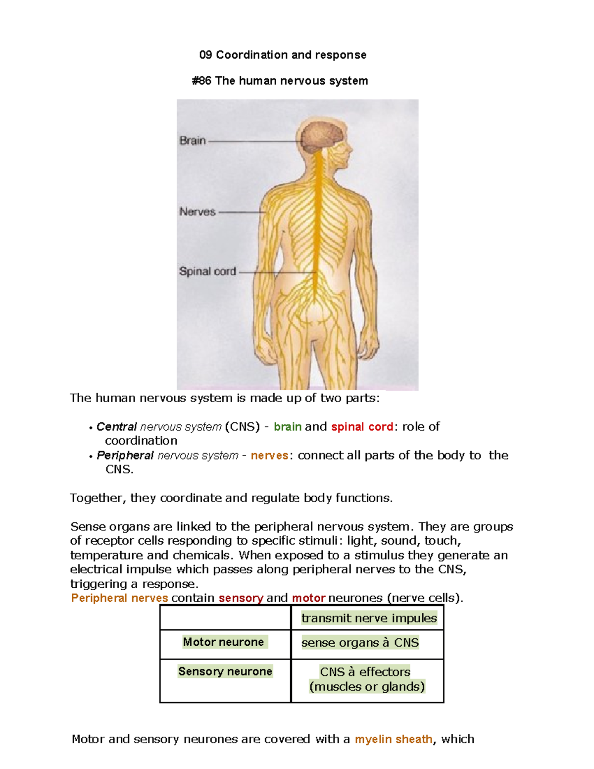 Unit 9 - Coordination - Biology Notes - 09 Coordination and response ...