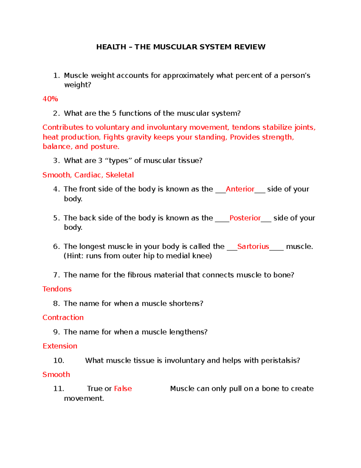 Muscular Notes Study Guide - HEALTH – THE MUSCULAR SYSTEM REVIEW Muscle ...
