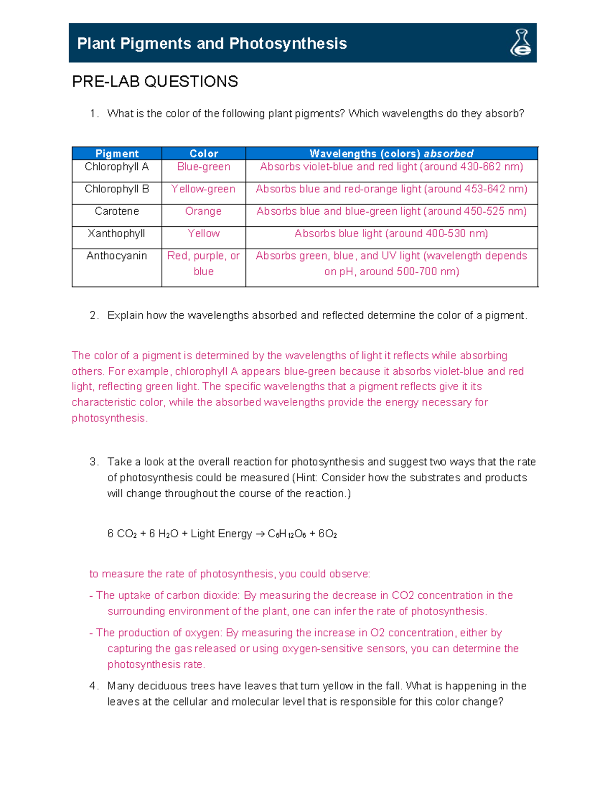 IB 1201 L13 Photosynthesis - Plant Pigments and Photosynthesis PRE-LAB ...