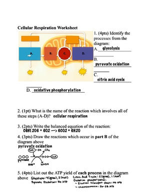 Bio122 lab report - Deprecated API usage: The SVG back-end is no longer maintained and may be ...