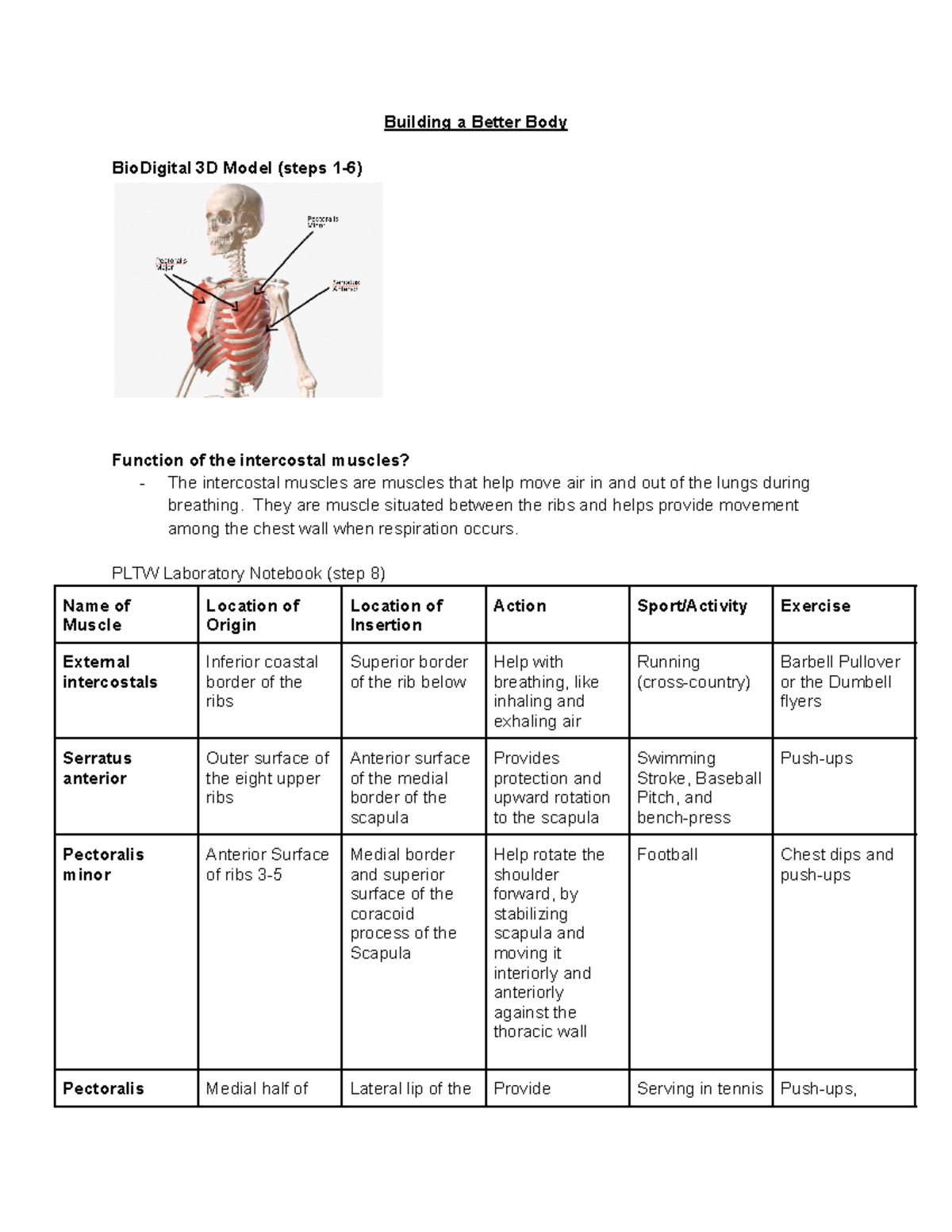 Building a Better Body - A description of types of organs and tissues ...