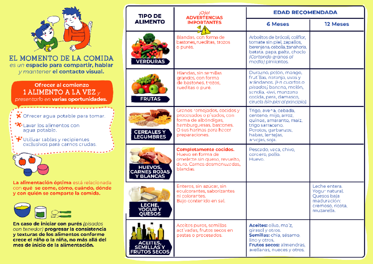 Alimentacion Complementaria - anatomia - Studocu