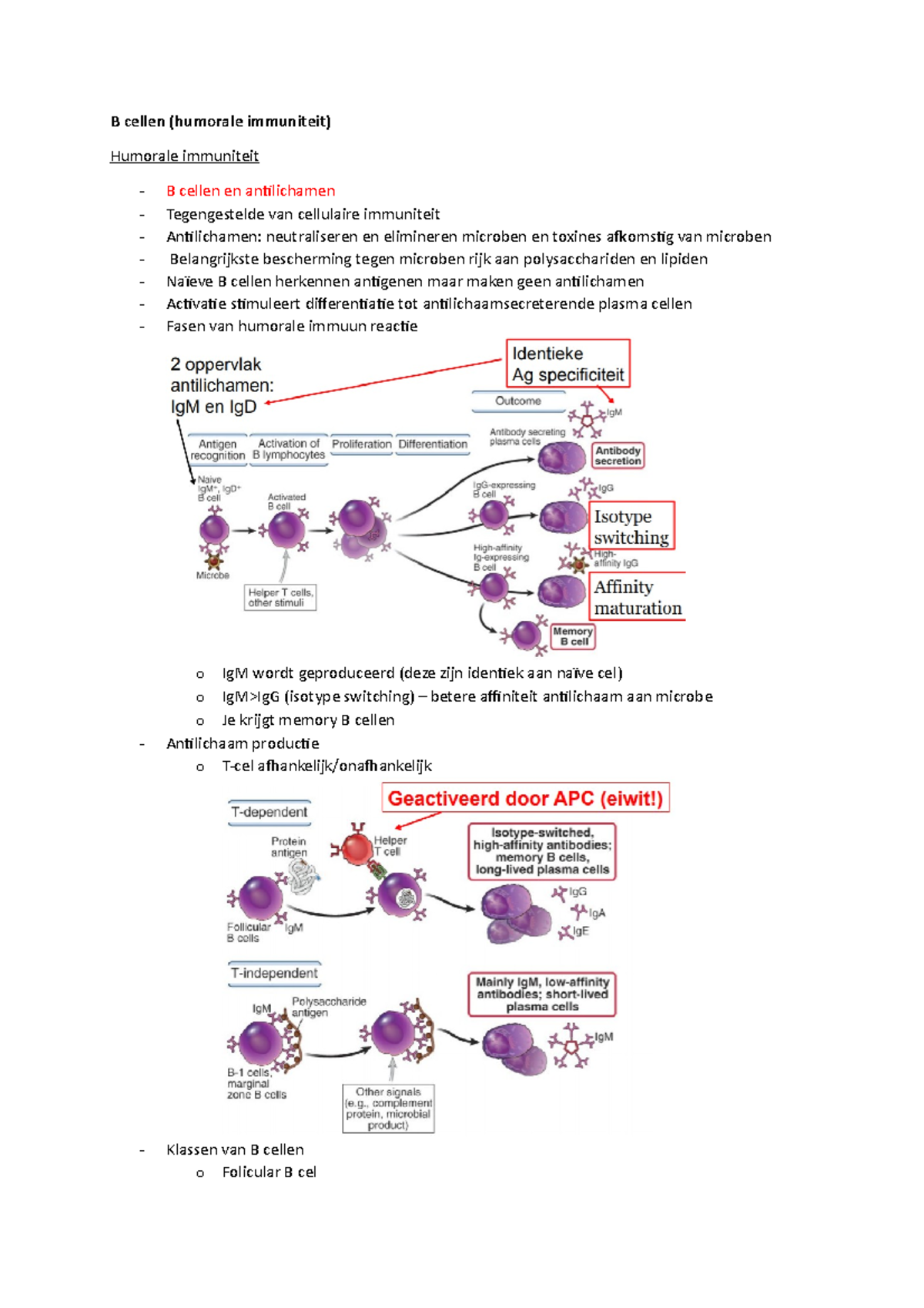 B-cel activatie - 17-03-2021 - B cellen (humorale immuniteit) Humorale ...