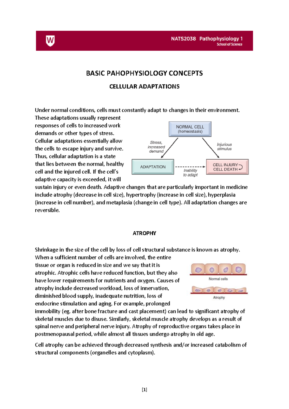 Reading 01 - Basic Pahophysiology Concepts - Cellular Adaptations ...