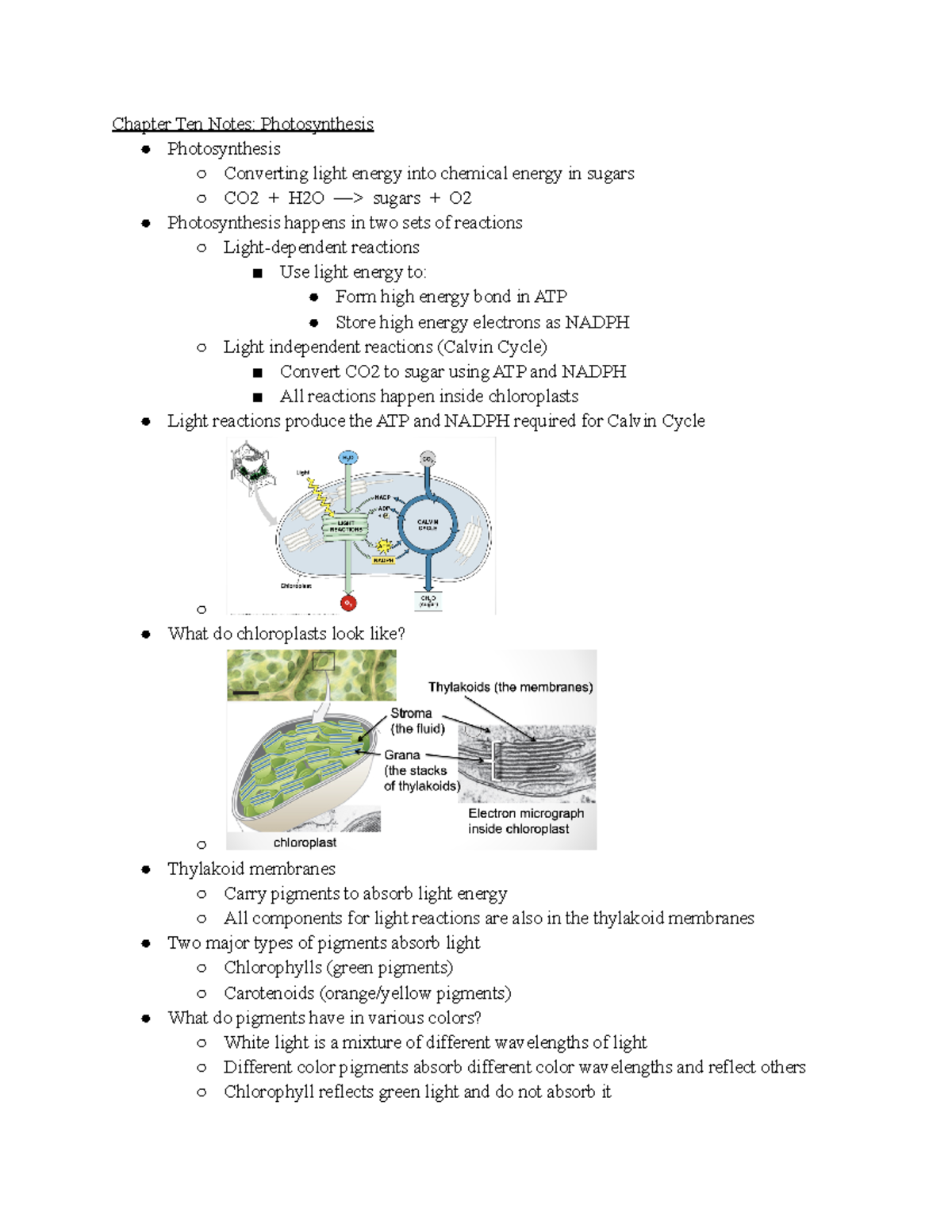 Lecture Notes and Chapter Notes - Chapter Ten Notes: Photosynthesis ...