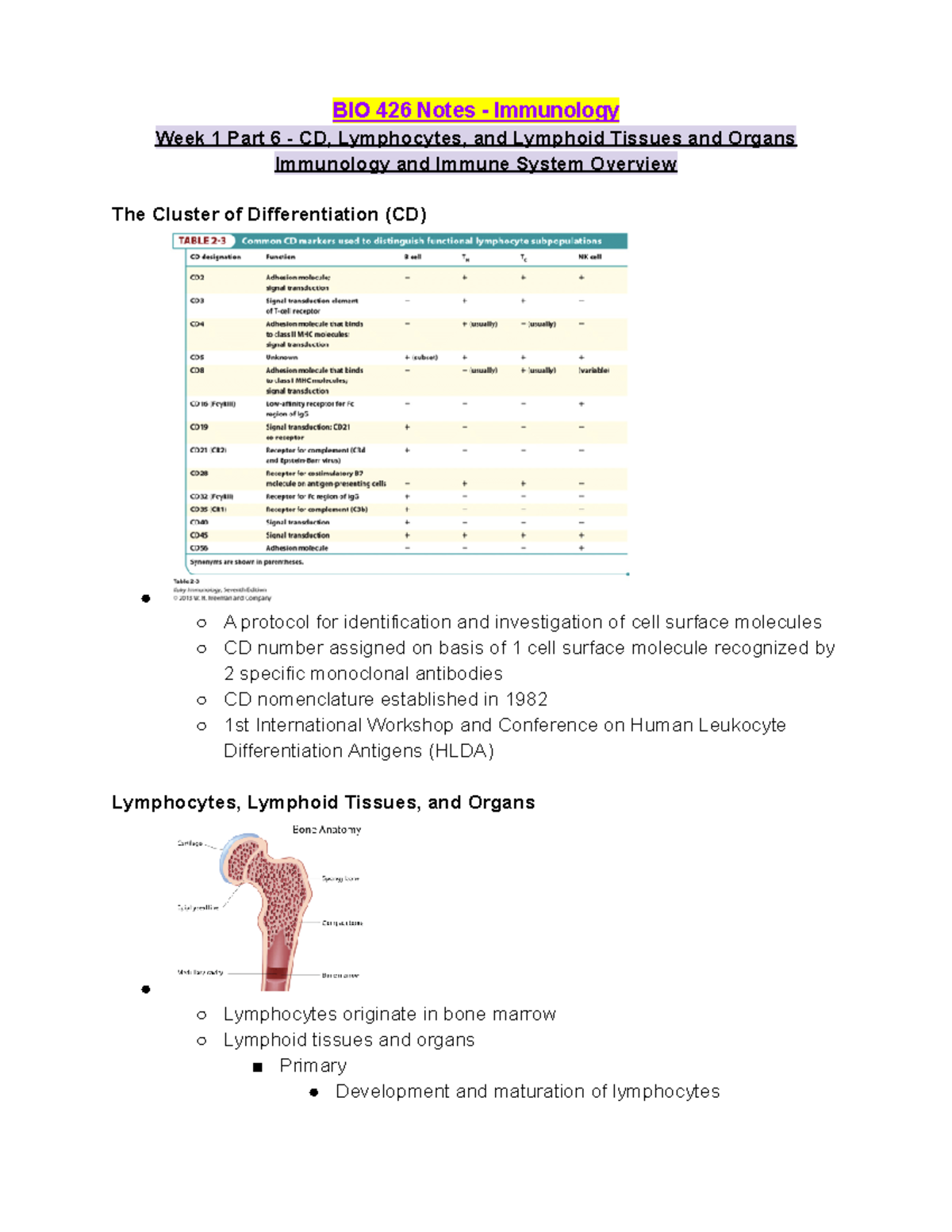 Bio 426 Week 1 Lecture Notes Part 6 Cd Lymphocytes Lymphoid Tissue