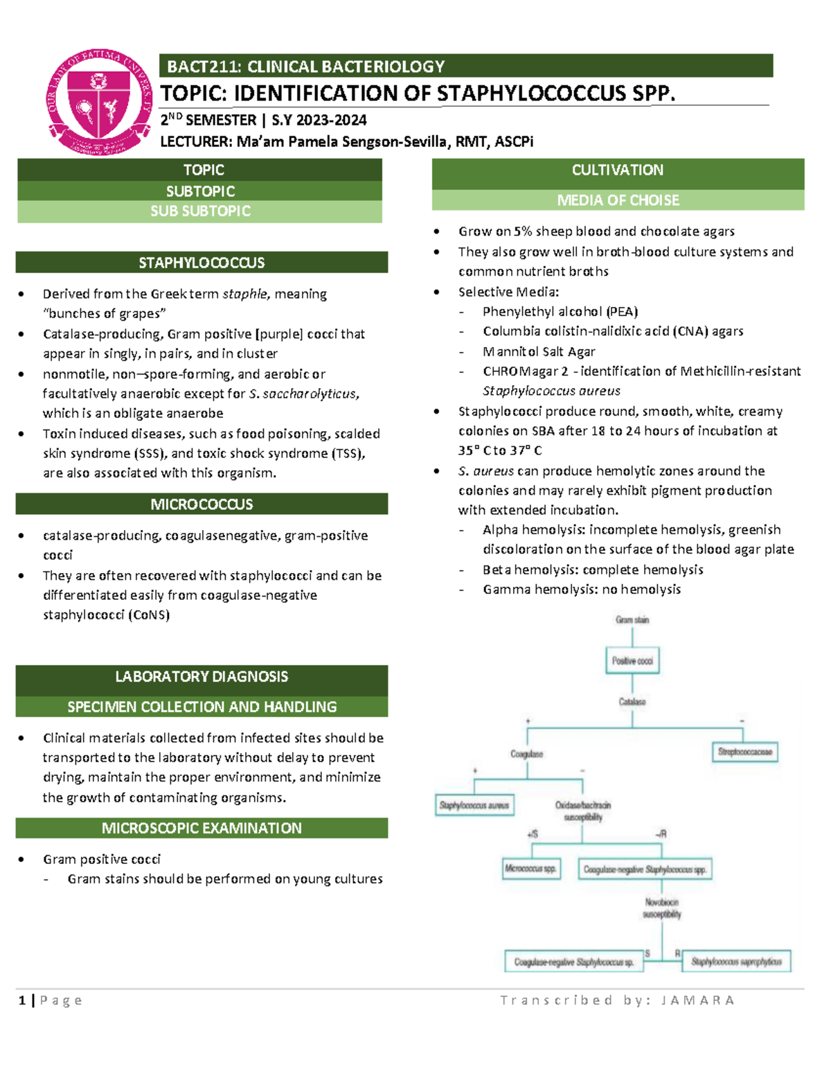 LAB 3 - Identification OF Staphylococcus SPP. - 1 | P a g e T r a n s c ...