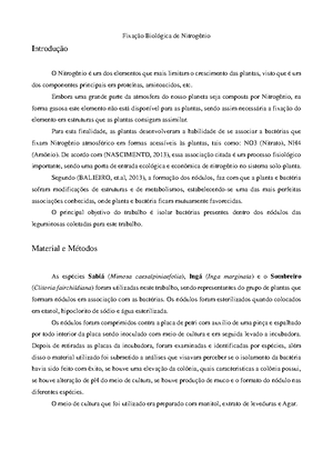 NBR 12962 Extintores de Incêndio - edição NORMA ABNT NBR BRASILEIRA ICS ...