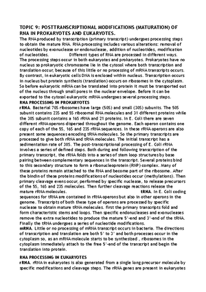 Parasitology Project-MAK - Lab Report # 1: Light Microscope Mohammed ...
