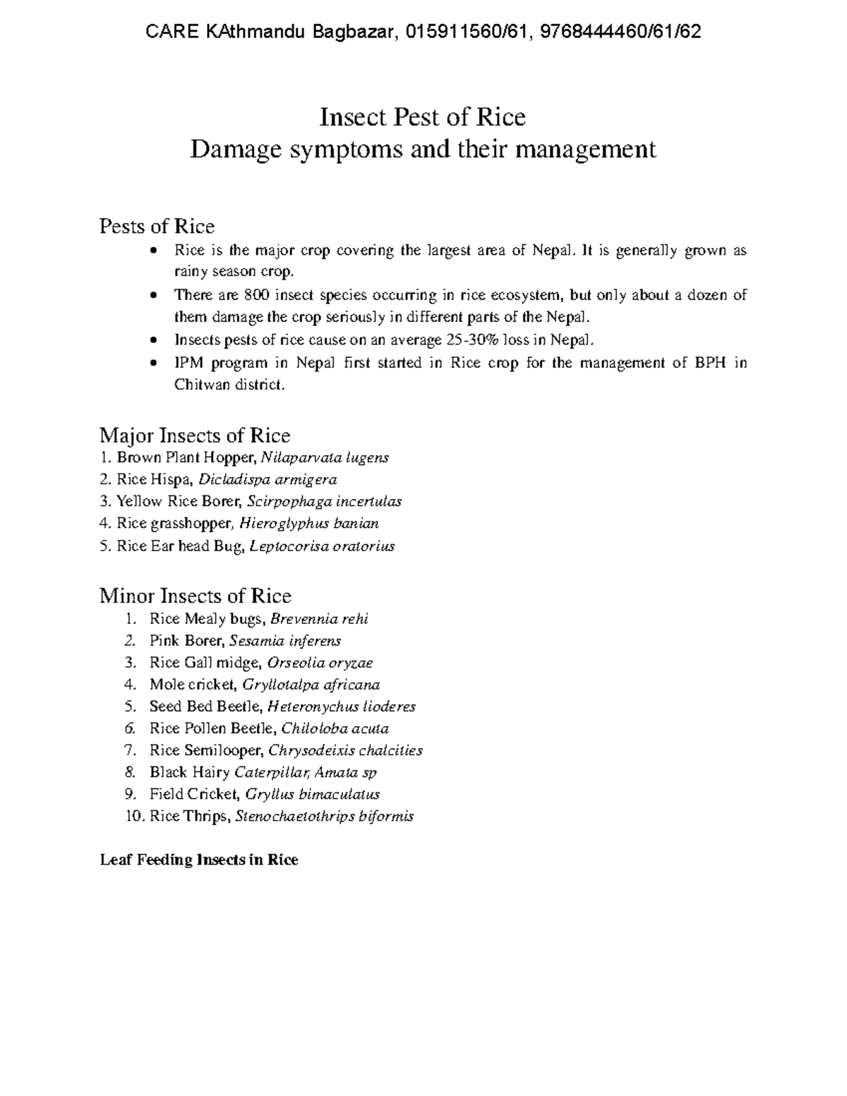 Rice insect pest and their management watermark - Insect Pest of Rice ...