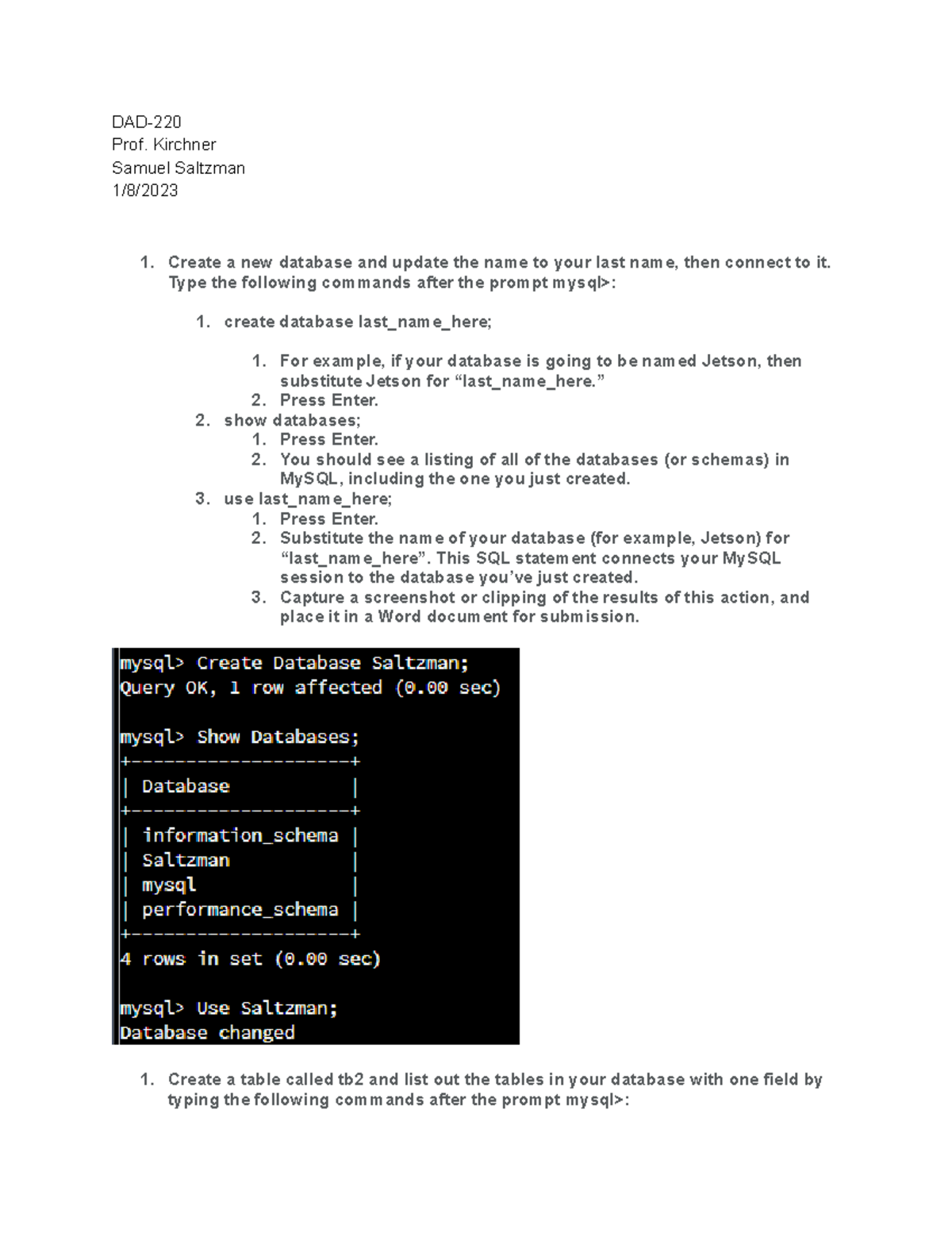DAD-220 Saltzman Lab 1-4 - DAD- Prof. Kirchner Samuel Saltzman 1/8 ...