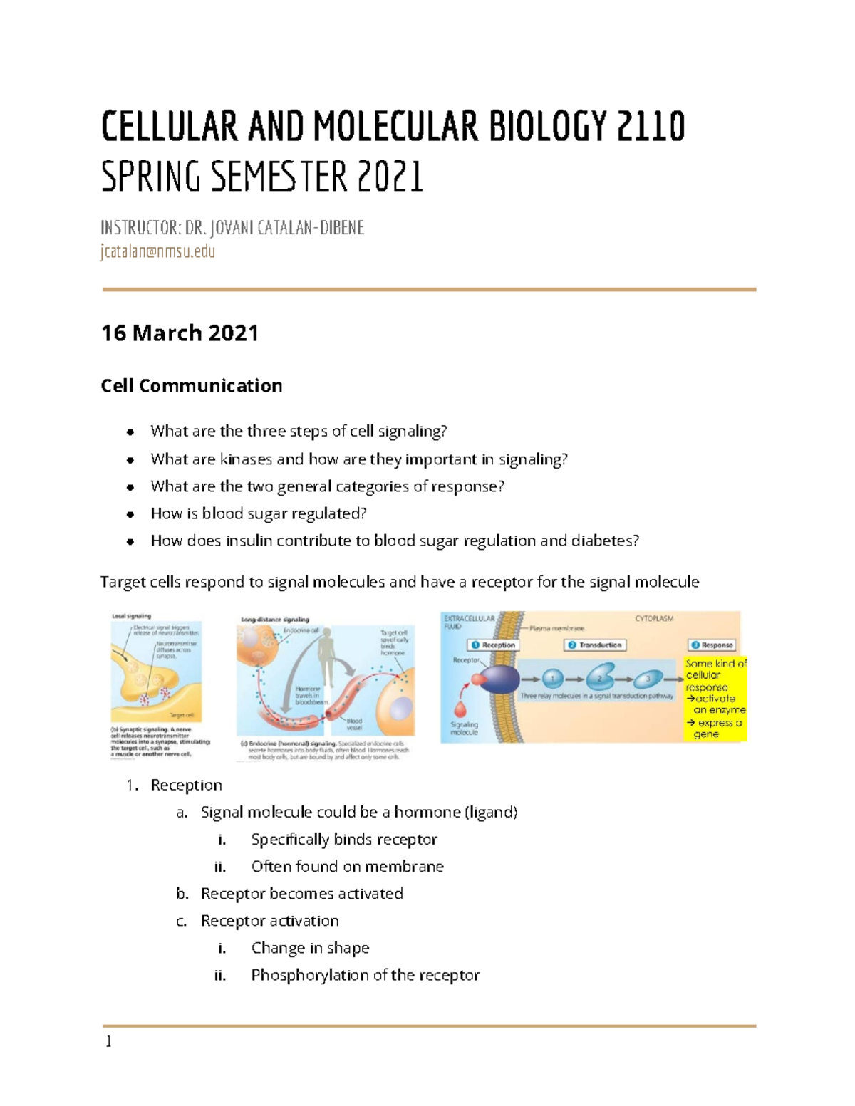 Cell and Mole Bio L8 - Week 8 - CELLULAR AND MOLECULAR BIOLOGY 2110 ...