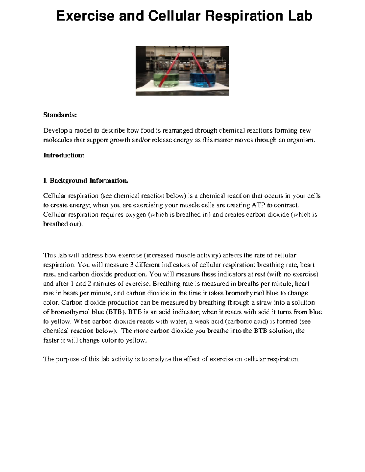 Kami Export - exercise - cellularrespiration - Exercise and Cellular ...