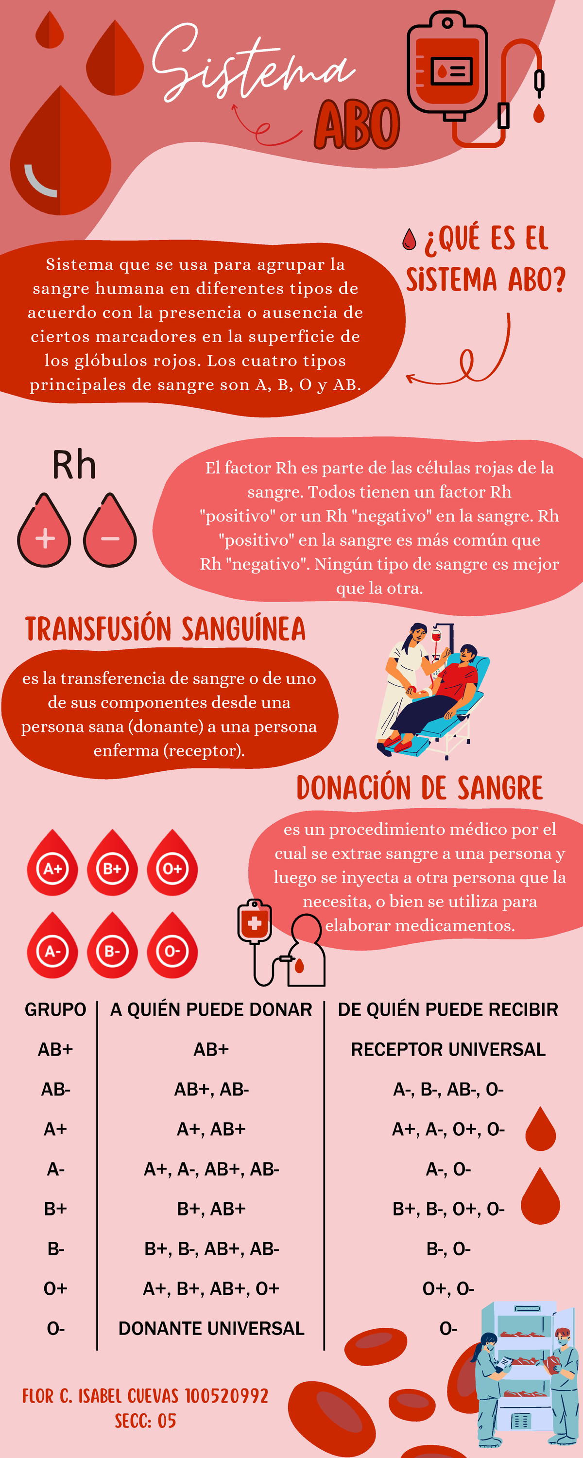 Infografia telma acosta - Sistema ABOABO Flor C. Isabel Cuevas ...