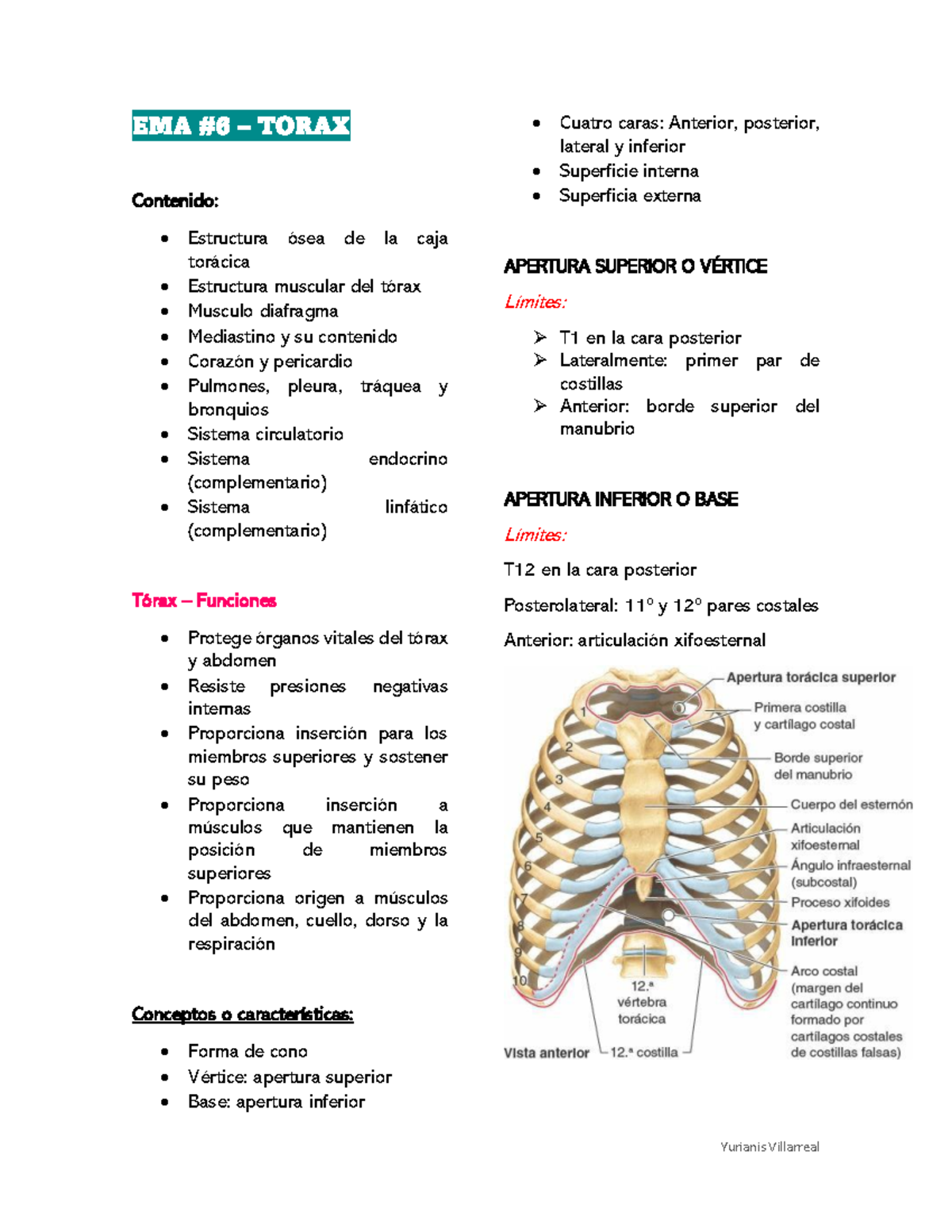 Resumen 2 ANTO YV - EMA #6 – TORAX Contenido: - Estructura ósea de la ...