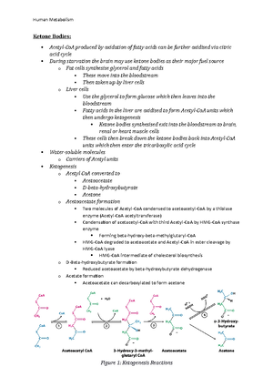 Groin Flap Coverage of the Hand and Wrist - 9/12/2018 Groin Flap ...